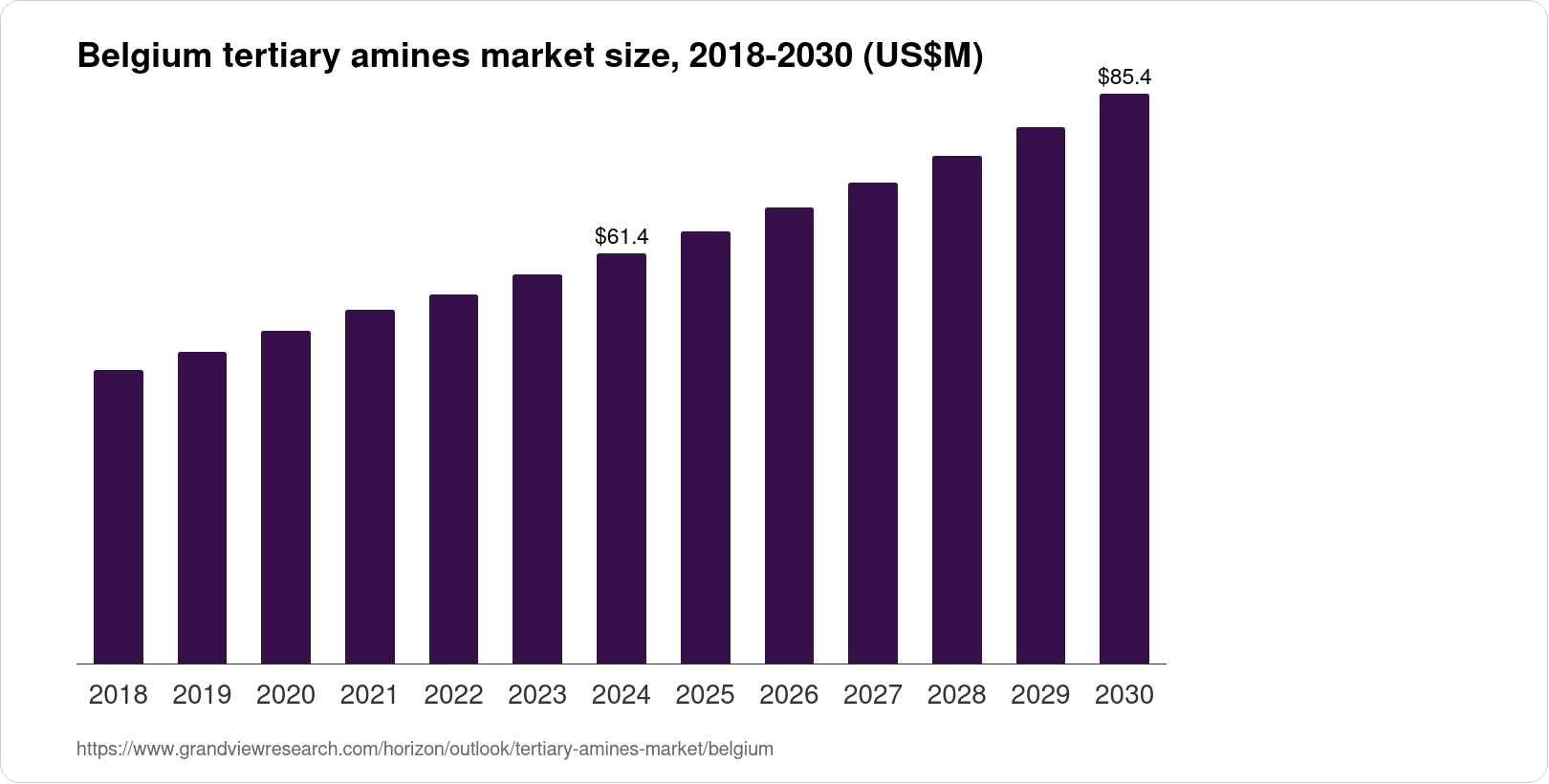 Belgium Tertiary Amines Market Size & Outlook, 2030