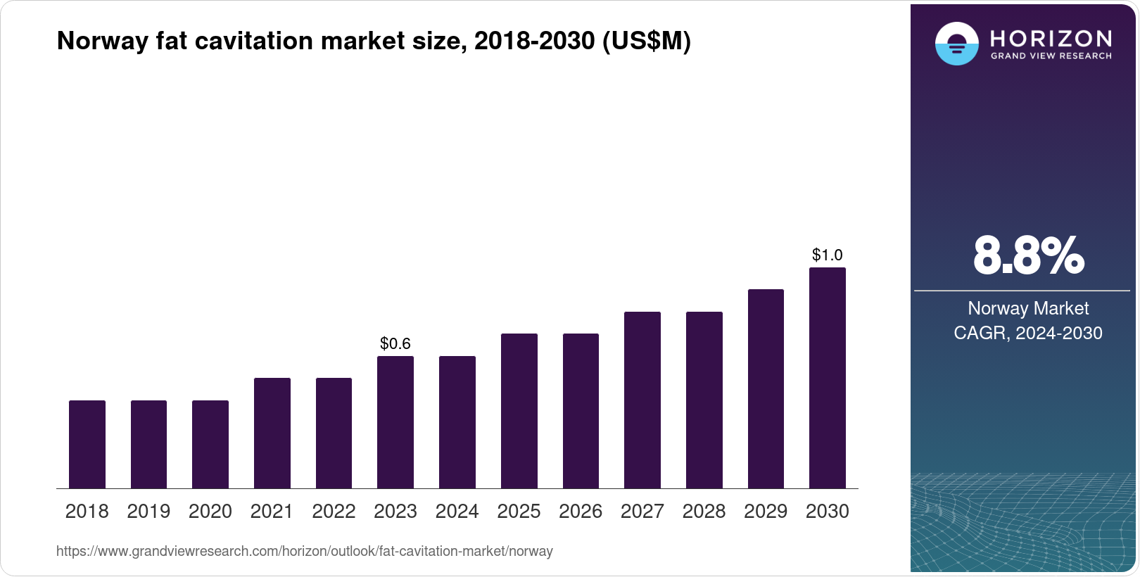 Norway Fat Cavitation Market Size & Outlook, 2030