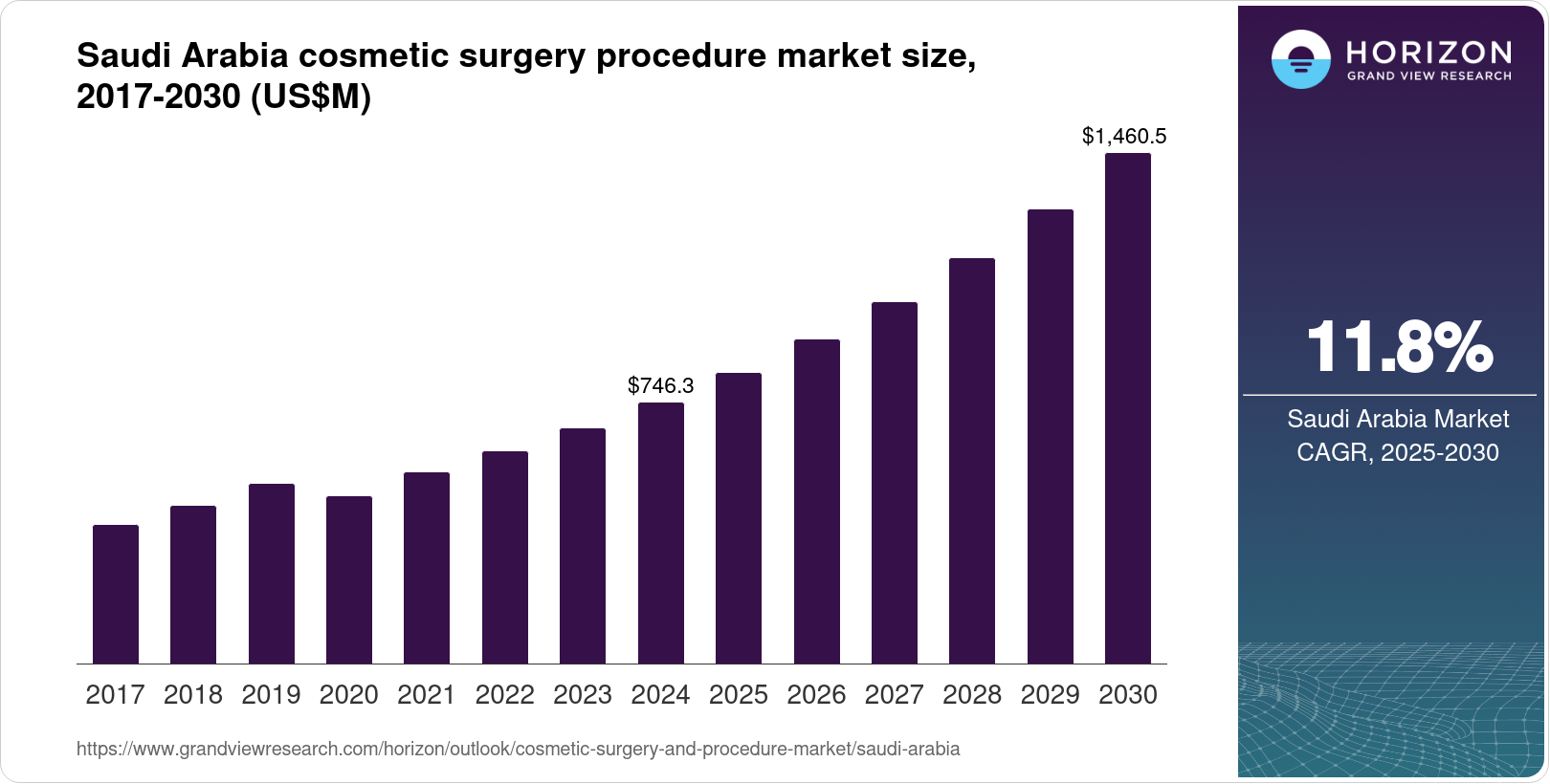 Saudi Arabia Cosmetic Surgery And Procedure Market Size & Outlook, 2030