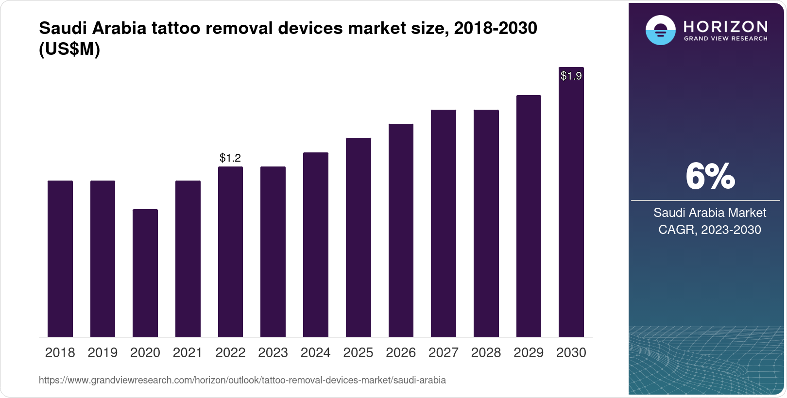 Saudi Arabia Tattoo Removal Devices Market Size & Outlook, 2030
