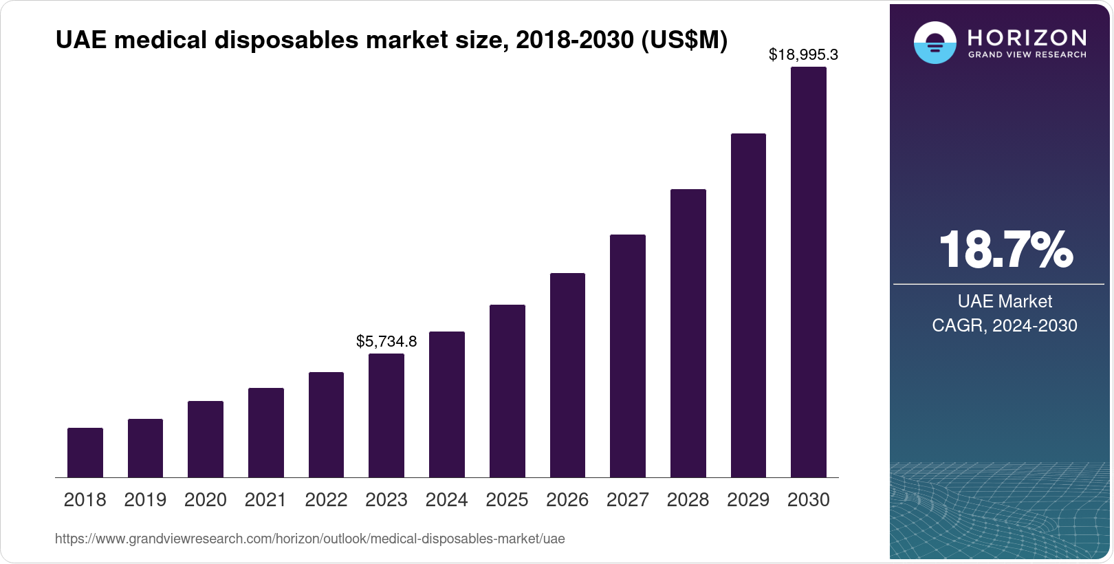 The UAE Medical Disposables Market Size & Outlook, 2030
