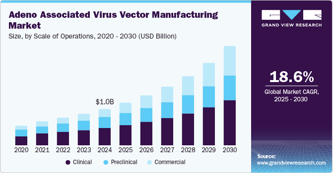 Adeno Associated Virus Vector Manufacturing Market Report, 2030