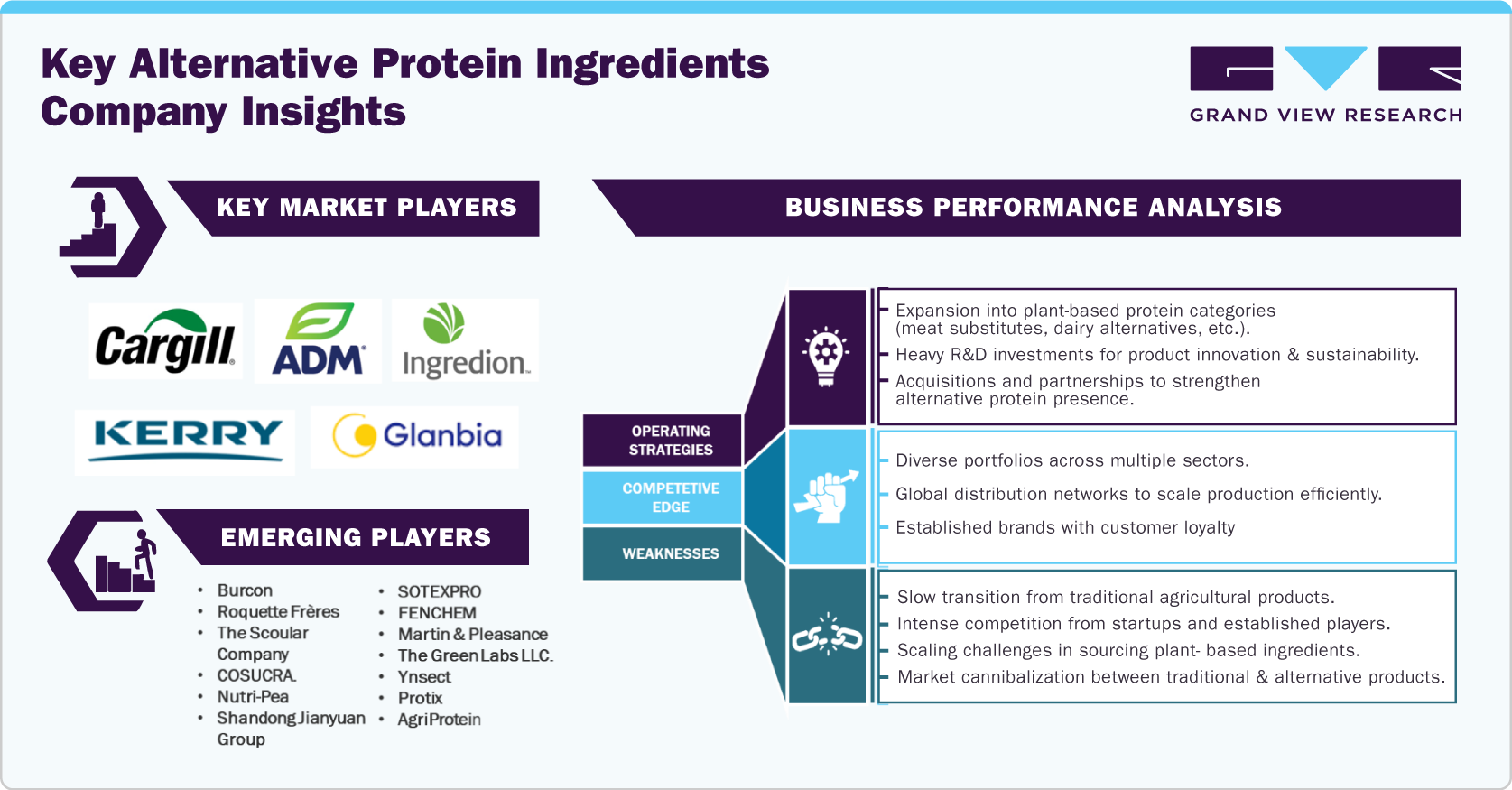 Alternative Protein Ingredients Market | Industry Report, 2030