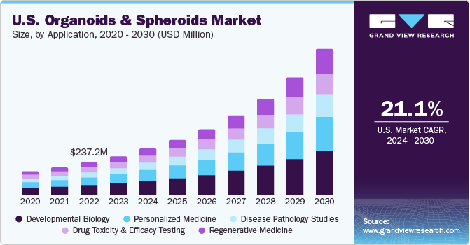 Organoids And Spheroids Market Size & Share Report, 2030